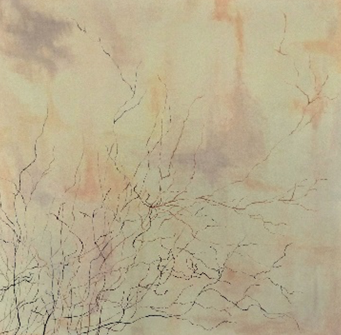 Moya Cole Artist – Visual artist, located on the South Coast of WA